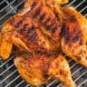 Grilled Spatchcock Chicken Recipe - Little Sunny Kitchen