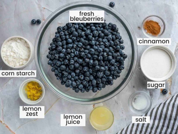 Classic Blueberry Pie Recipe (Easy Recipe!) - Little Sunny Kitchen