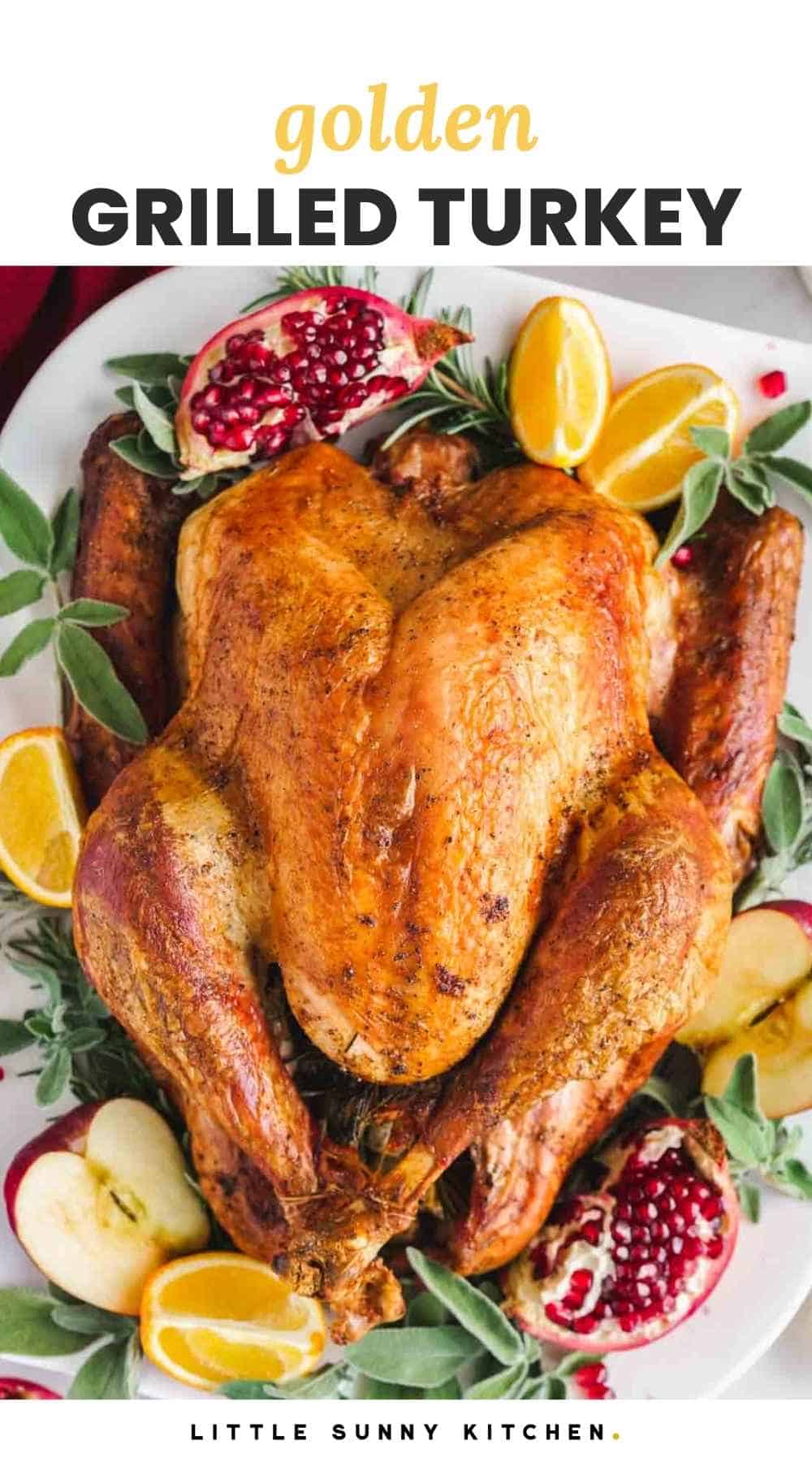 Grilled Turkey - How to Grill a Turkey for Thanksgiving (Golden and Juicy!)