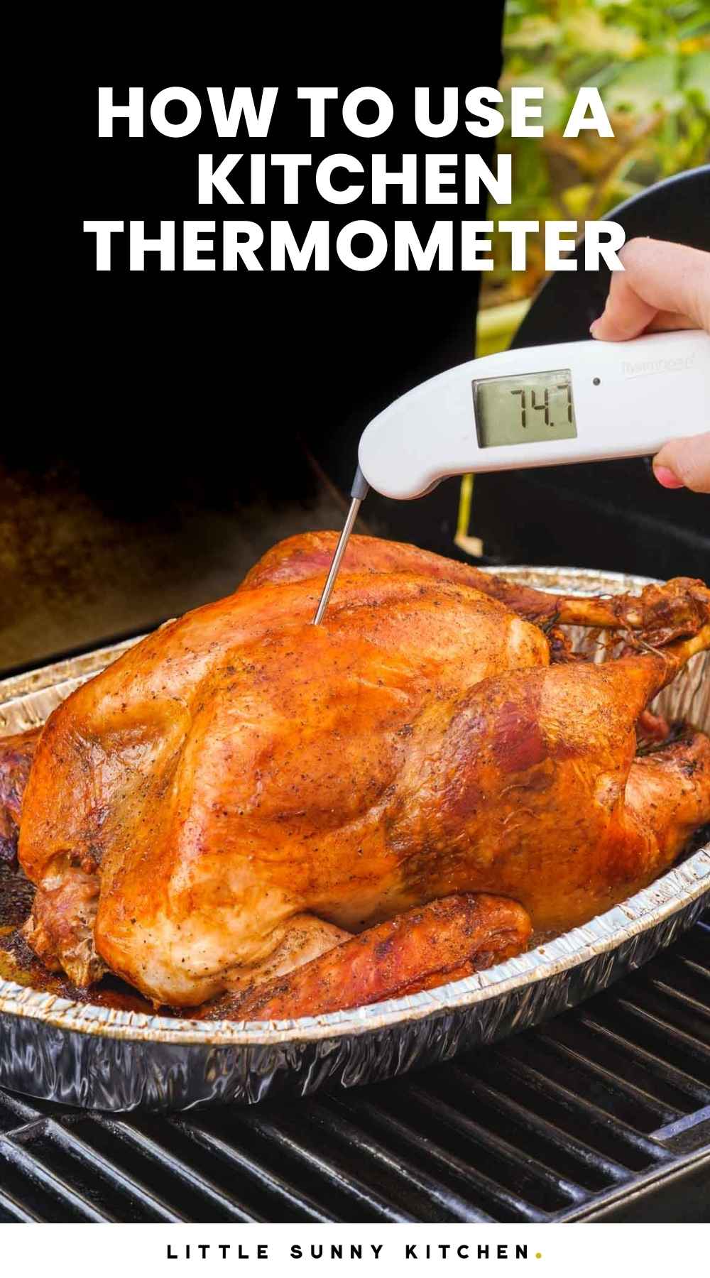 How to Use a Kitchen Thermometer - Little Sunny Kitchen