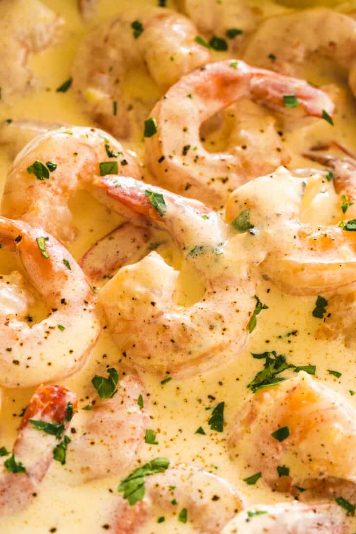 Easy Creamy Garlic Shrimp Recipe - Little Sunny Kitchen