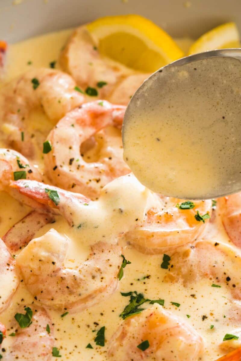 Easy Creamy Garlic Shrimp Recipe - Little Sunny Kitchen