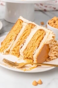 Ultimate Butterscotch Cake - Little Sunny Kitchen