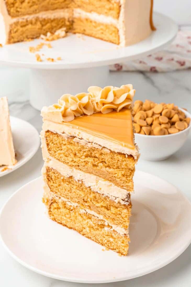 Ultimate Butterscotch Cake - Little Sunny Kitchen