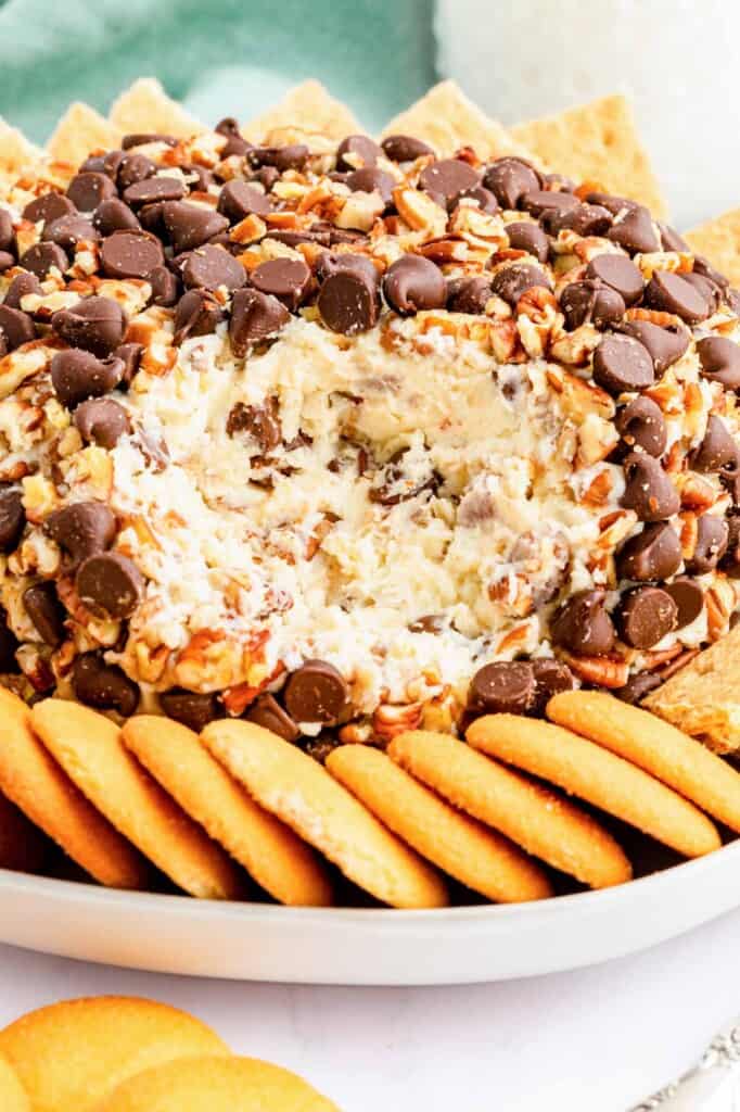 Chocolate Chip Cheese Ball Recipe - Little Sunny Kitchen