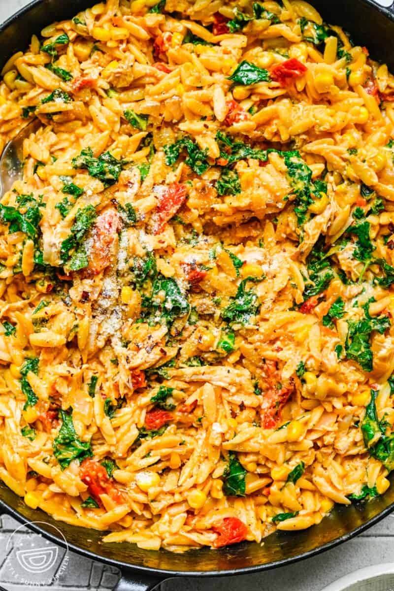 One Pan Creamy Chicken Orzo - Little Sunny Kitchen