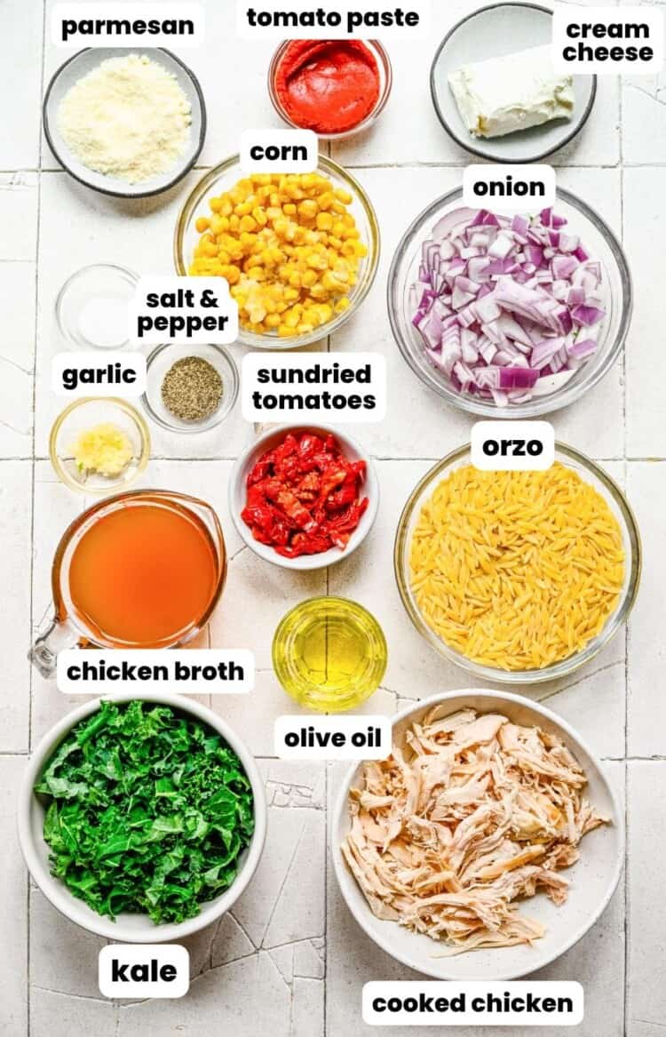 One Pan Creamy Chicken Orzo - Little Sunny Kitchen