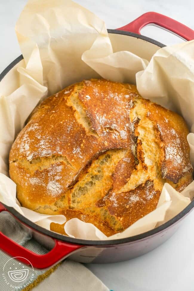 Easy No Knead Bread Recipe - Little Sunny Kitchen