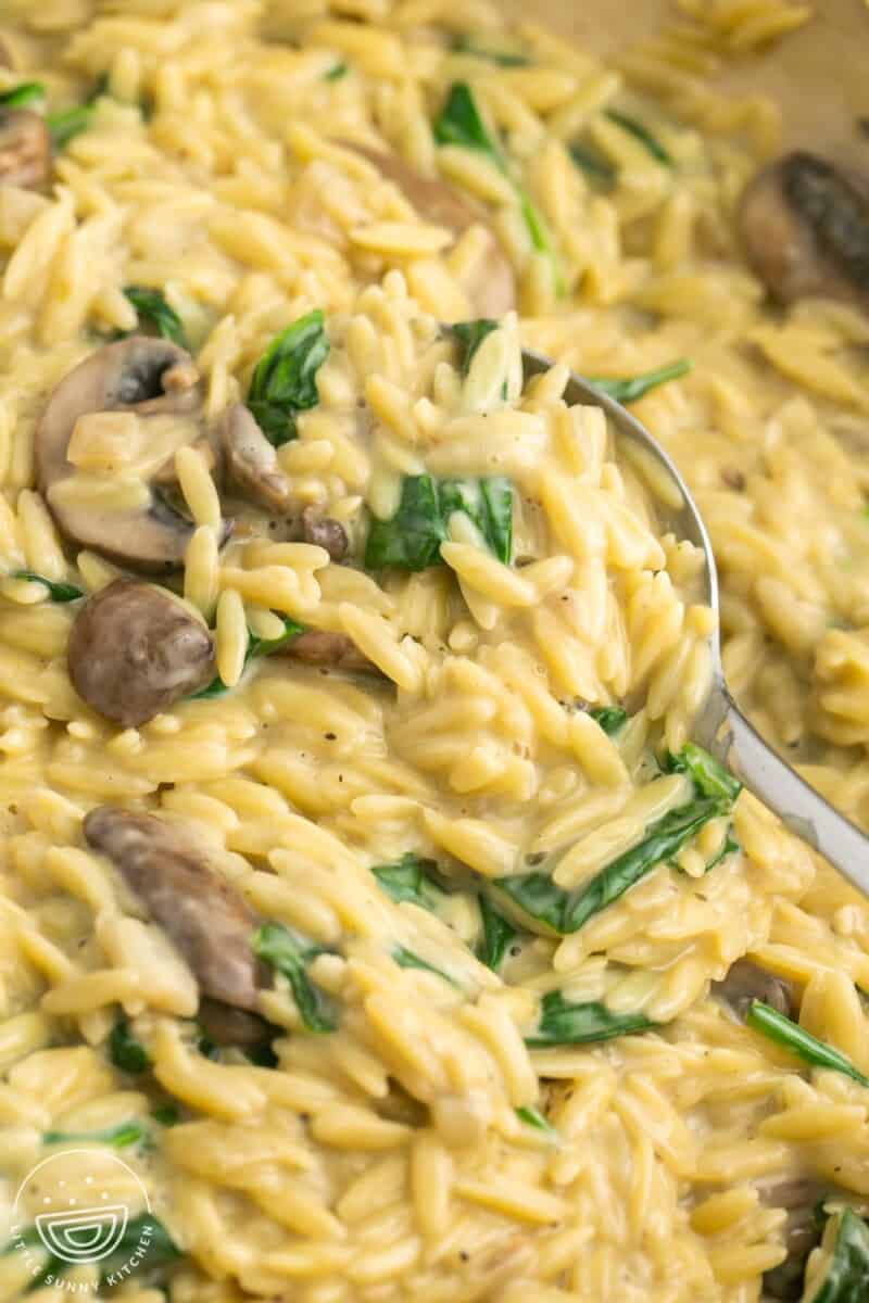 Creamy Mushroom Spinach Orzo