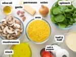 Creamy Mushroom Spinach Orzo