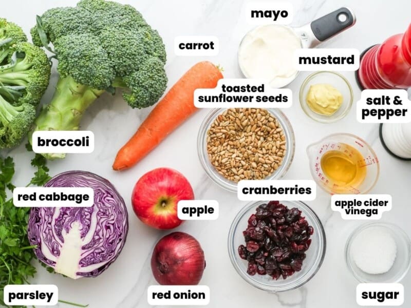 Homemade Broccoli Slaw Recipe - Little Sunny Kitchen