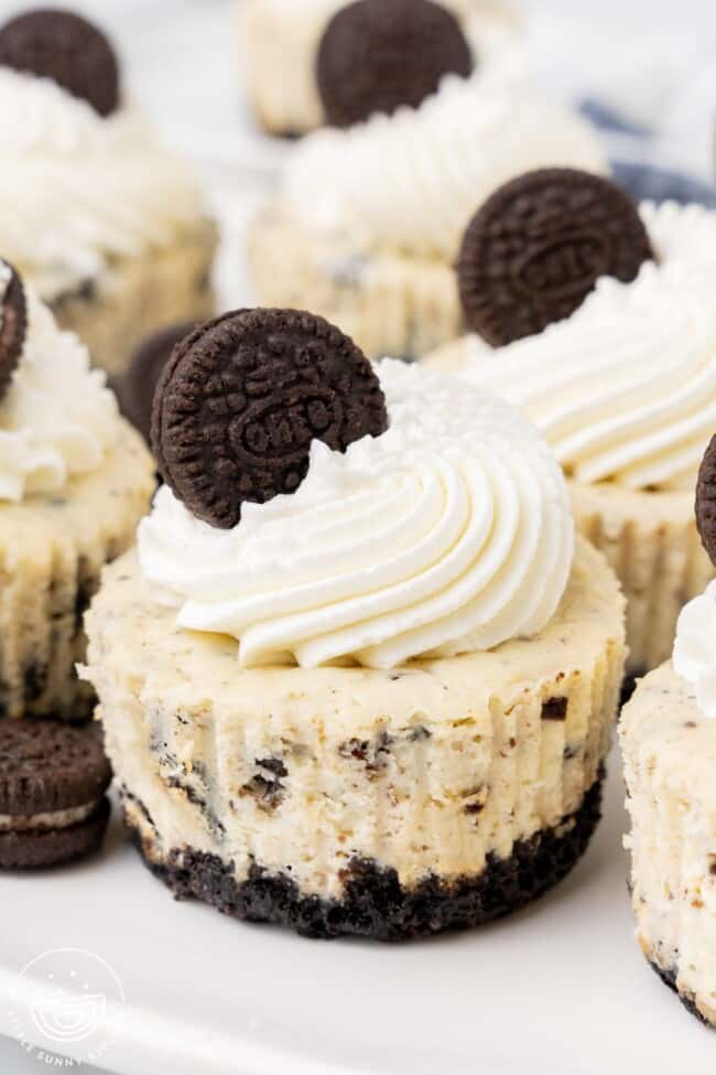 Mini Oreo Cheesecakes - Little Sunny Kitchen