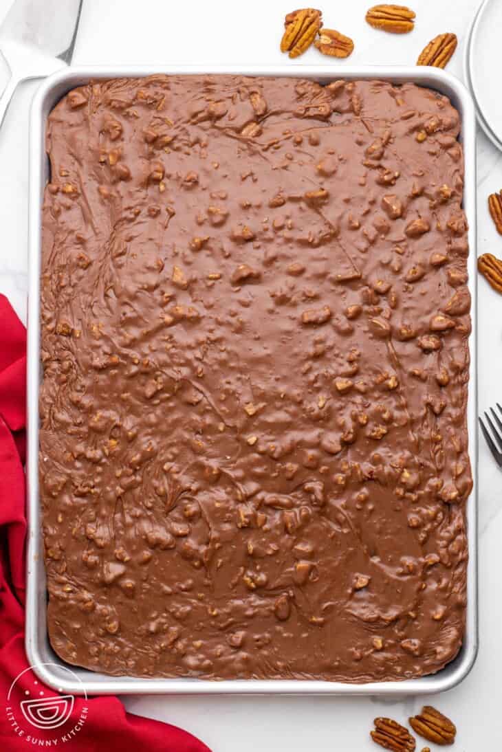 The Best Texas Sheet Cake - Little Sunny Kitchen