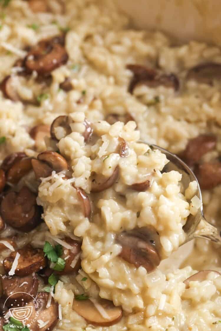 Easy Creamy Mushroom Risotto Recipe - Little Sunny Kitchen