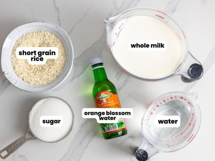 Creamy Lebanese Rice Pudding (Riz Bi Haleeb) - Little Sunny Kitchen