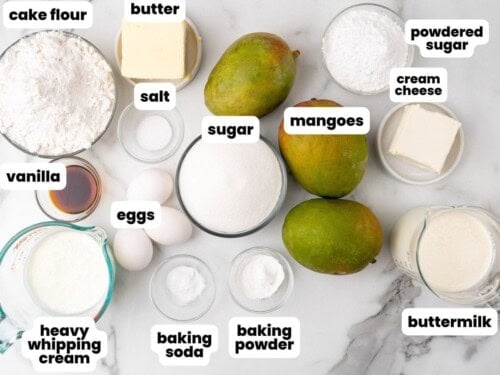 Simple Fresh Mango Cake - Little Sunny Kitchen