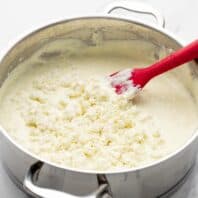 Easy Homemade Ashta Recipe - Little Sunny Kitchen