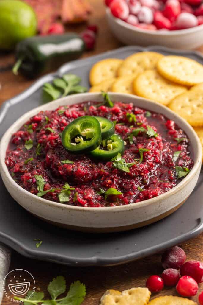 Easy Cranberry Salsa Recipe - Little Sunny Kitchen