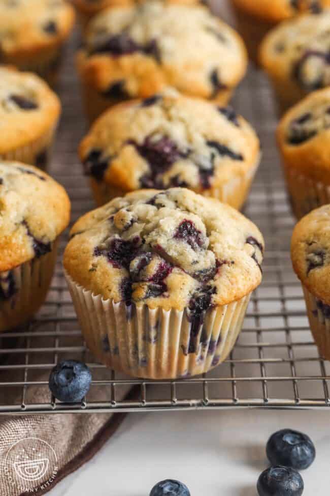 Classic Blueberry Muffins - Little Sunny Kitchen