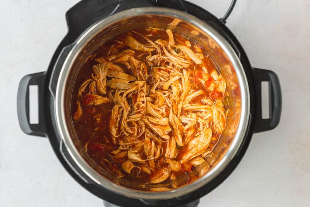 Instant Pot Creamy Salsa Chicken - Little Sunny Kitchen