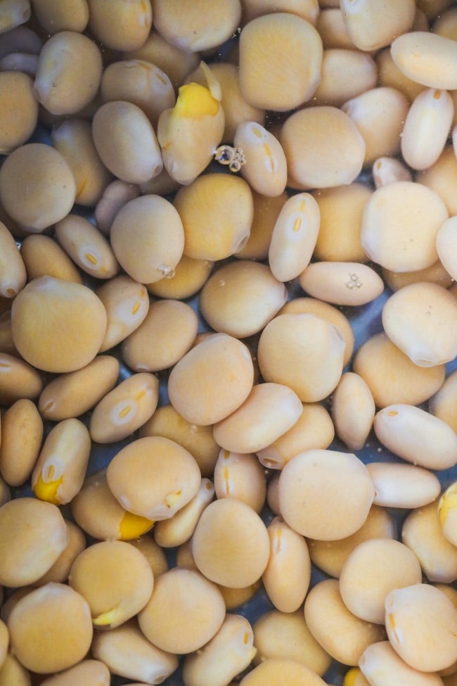 How to Cook Lupini Beans