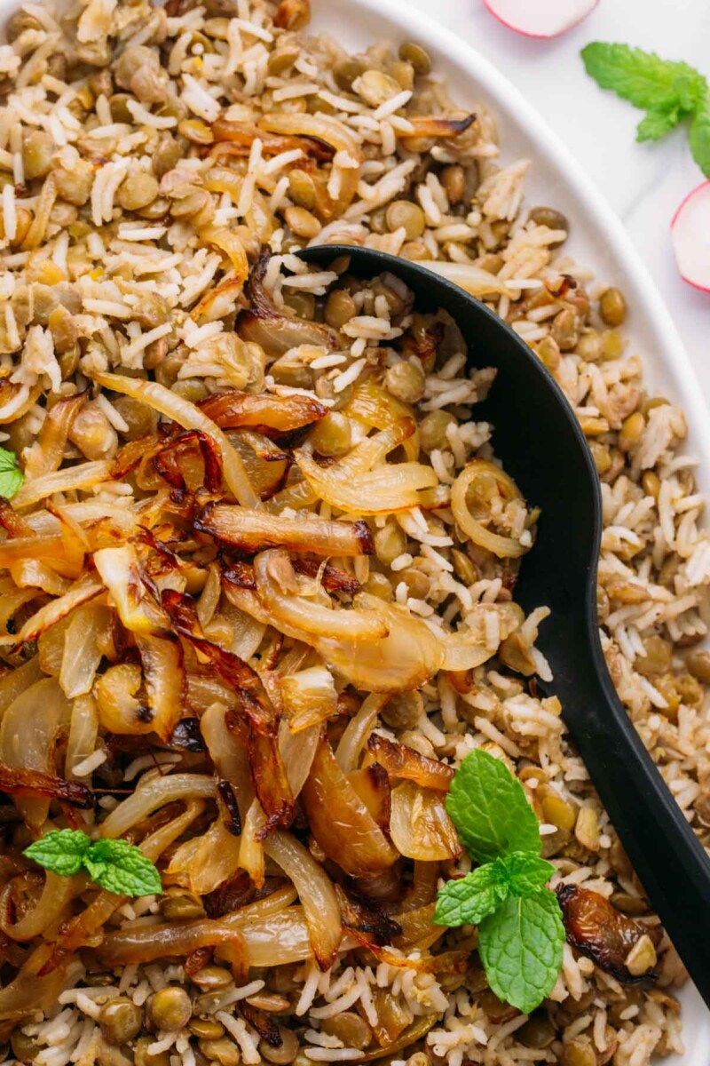 Mujadara Recipe - Little Sunny Kitchen